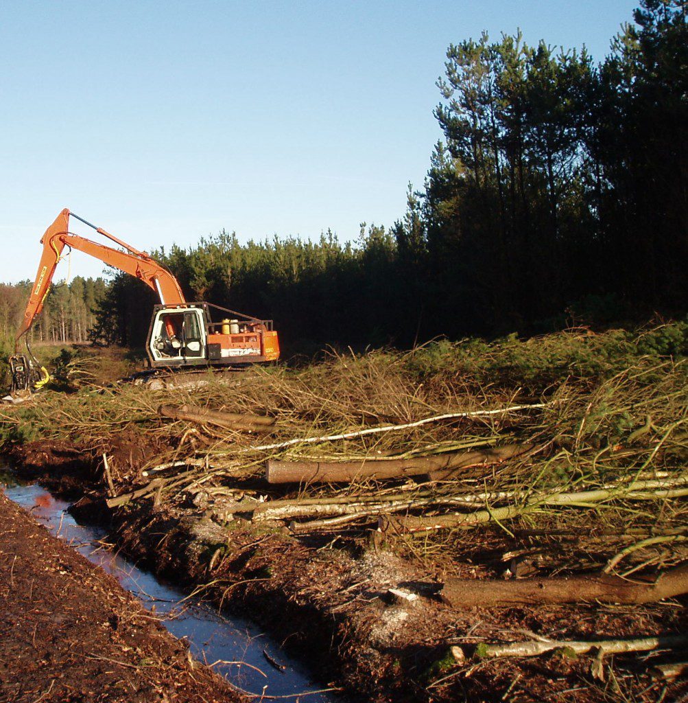 Past Projects – D.A. Hughes Forestry