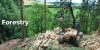 Forestry Contracting – D.A. Hughes Forestry